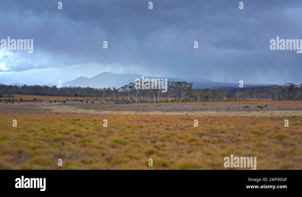 Ecological environment beautiful environment Stock Videos & Footage ...