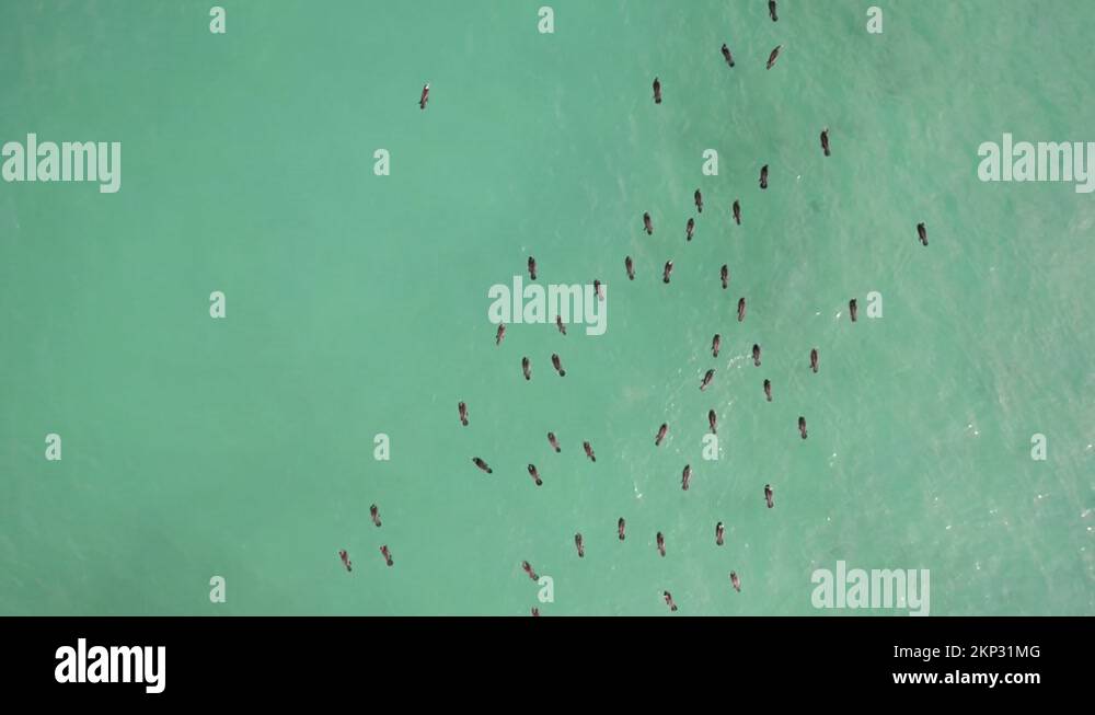 Emerald ocean Stock Videos & Footage - HD and 4K Video Clips - Alamy