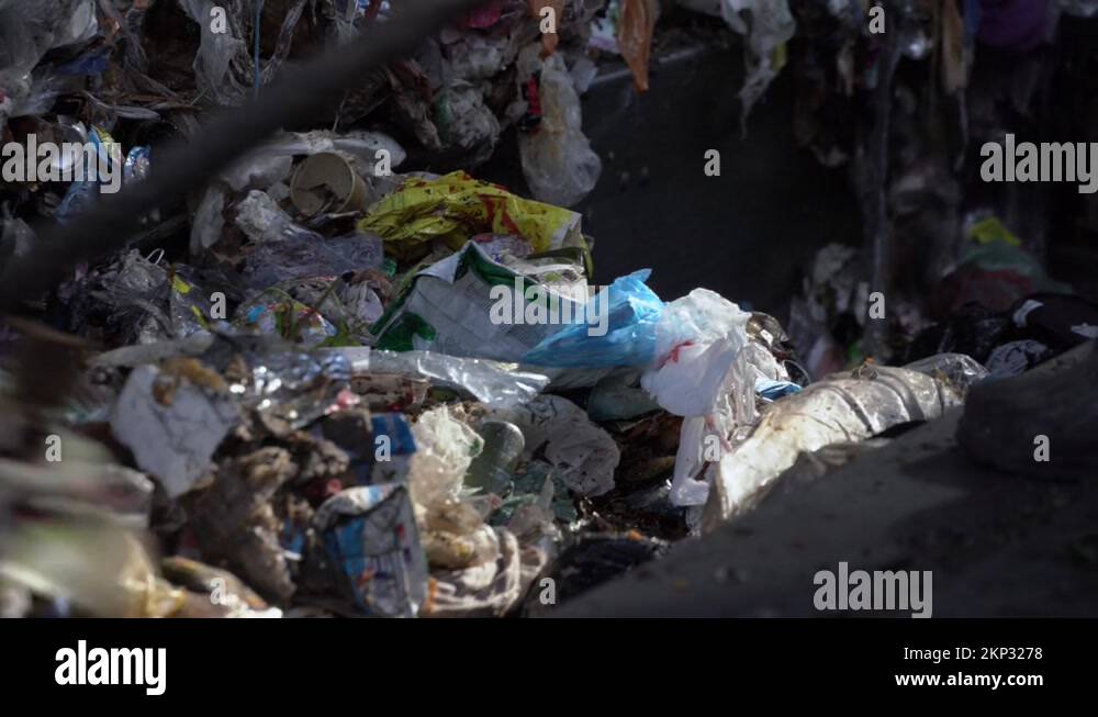 Garbage travels on conveyor belt to sort and recycle for reuse Stock ...