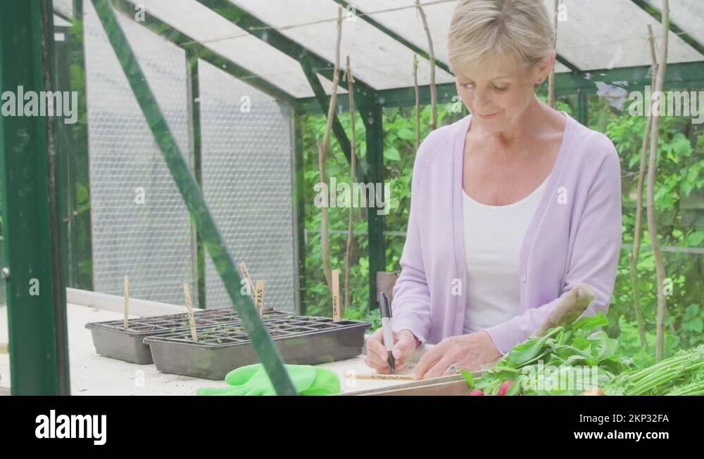 Writing labels Stock Videos & Footage - HD and 4K Video Clips - Alamy