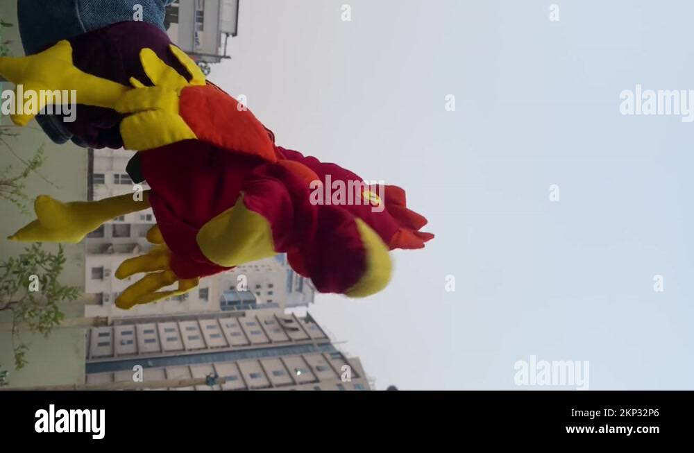 Chicken puppet Stock Videos & Footage - HD and 4K Video Clips - Alamy