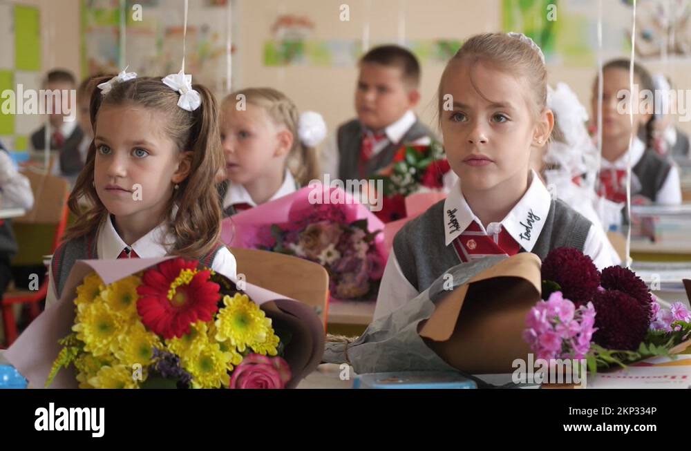 First grade school classroom students Stock Videos & Footage - HD and ...