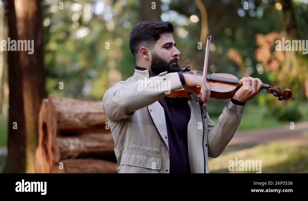 Violin player old man violin Stock Videos & Footage - HD and 4K Video ...