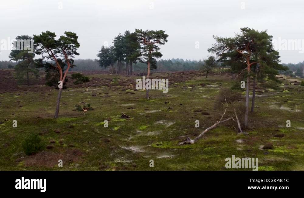 National triangle Stock Videos & Footage - HD and 4K Video Clips - Alamy