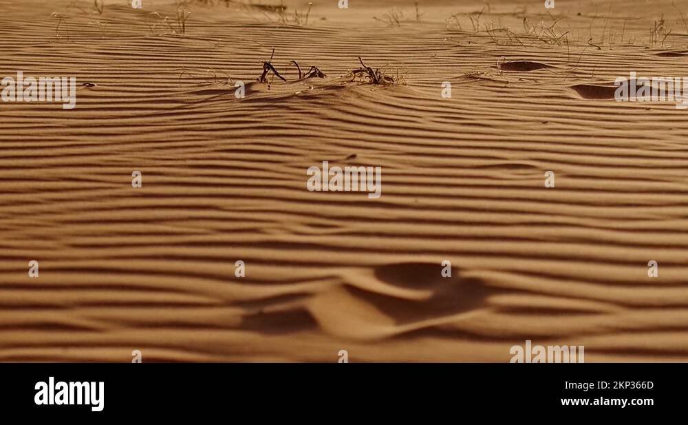 Cinematic Sand Dunes and Wind Blowing Series 4K Stock Video Footage - Alamy