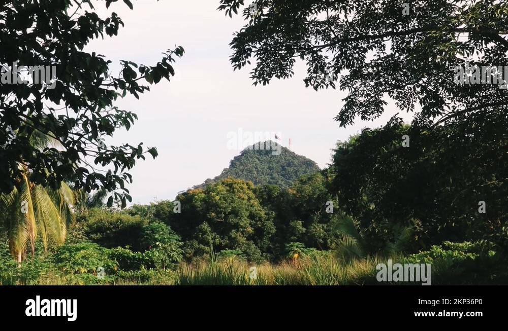 Ancon Hill in Panama City viewed from far away between a dense leafy ...