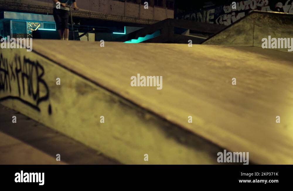 Training trick Stock Videos & Footage - HD and 4K Video Clips - Alamy