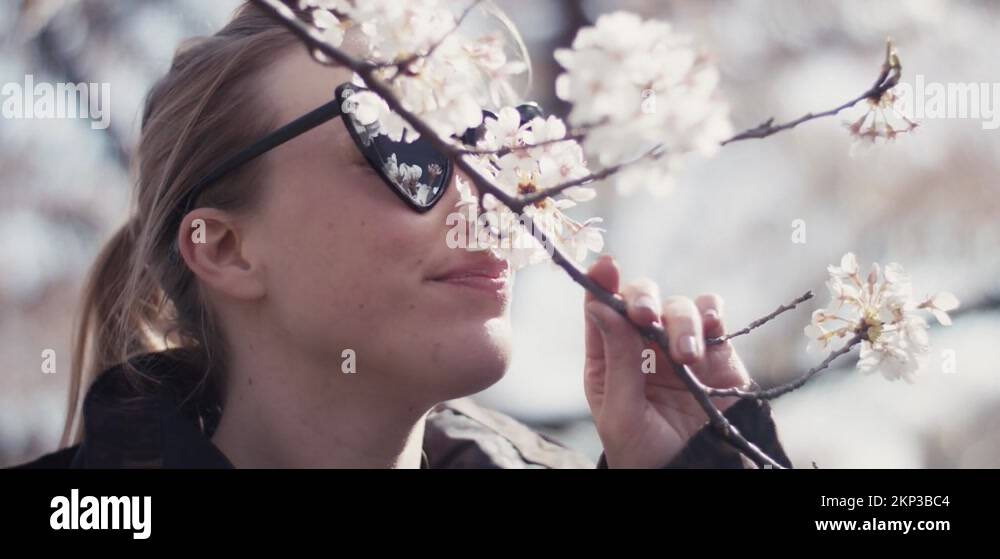 Woman tree face blossoms Stock Videos & Footage - HD and 4K Video Clips ...