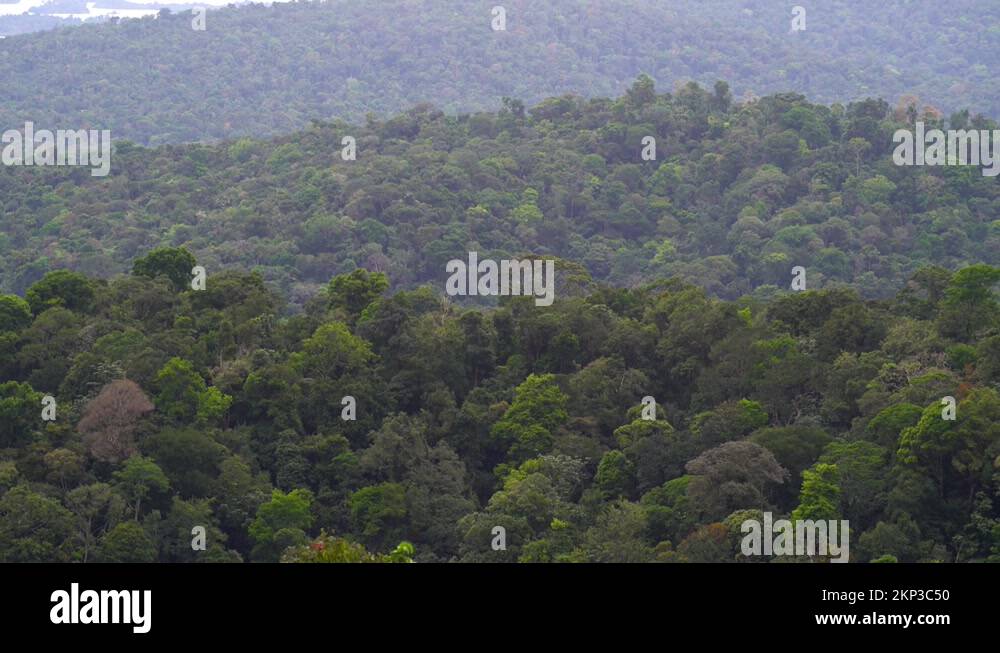Guyana mountain Stock Videos & Footage - HD and 4K Video Clips - Alamy