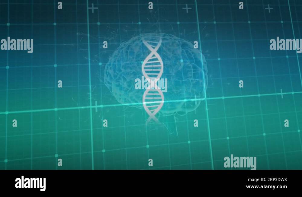 Brain chain Stock Videos & Footage - HD and 4K Video Clips - Alamy