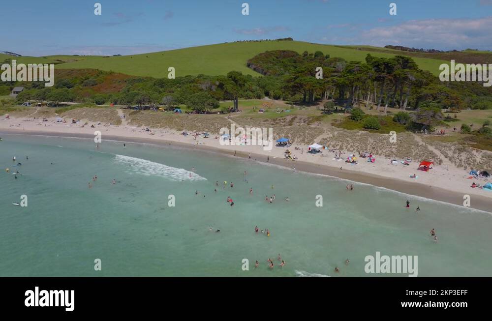 Swimmers Enjoying The Sun And Surf, Tawharanui beach, New Zealand Stock ...
