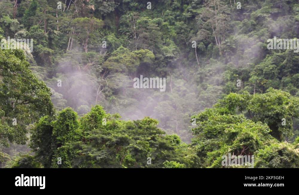 Veil mist Stock Videos & Footage - HD and 4K Video Clips - Alamy