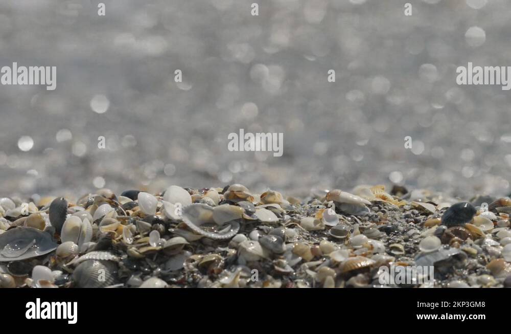 Sea washing on sand Stock Videos & Footage - HD and 4K Video Clips - Alamy