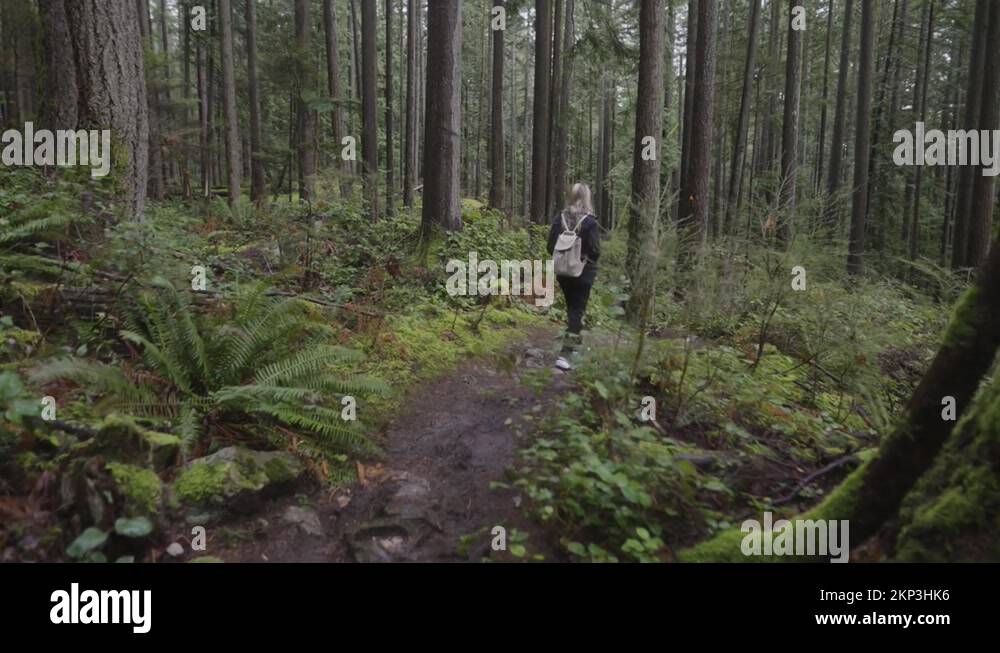 Back view of blond girl walking alone in forest on rainy day. Handheld Stock Video Footage - Alamy