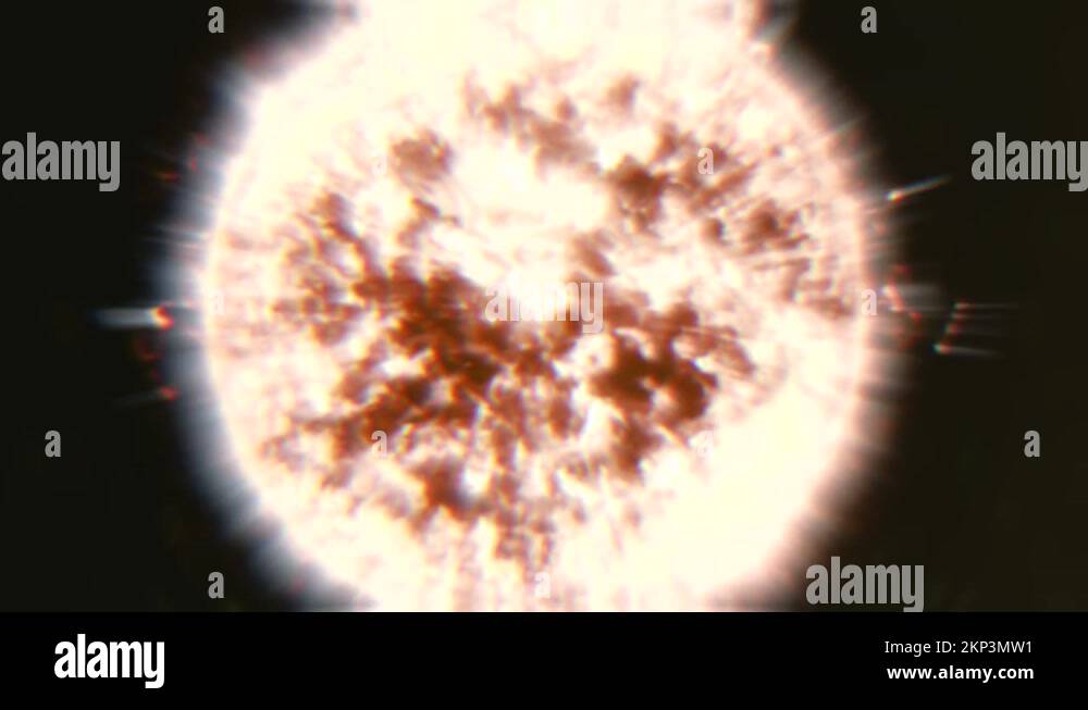 Stars gods Stock Videos & Footage - HD and 4K Video Clips - Alamy
