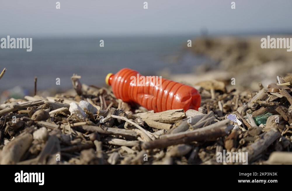 Shoreline marine Stock Videos & Footage - HD and 4K Video Clips - Alamy