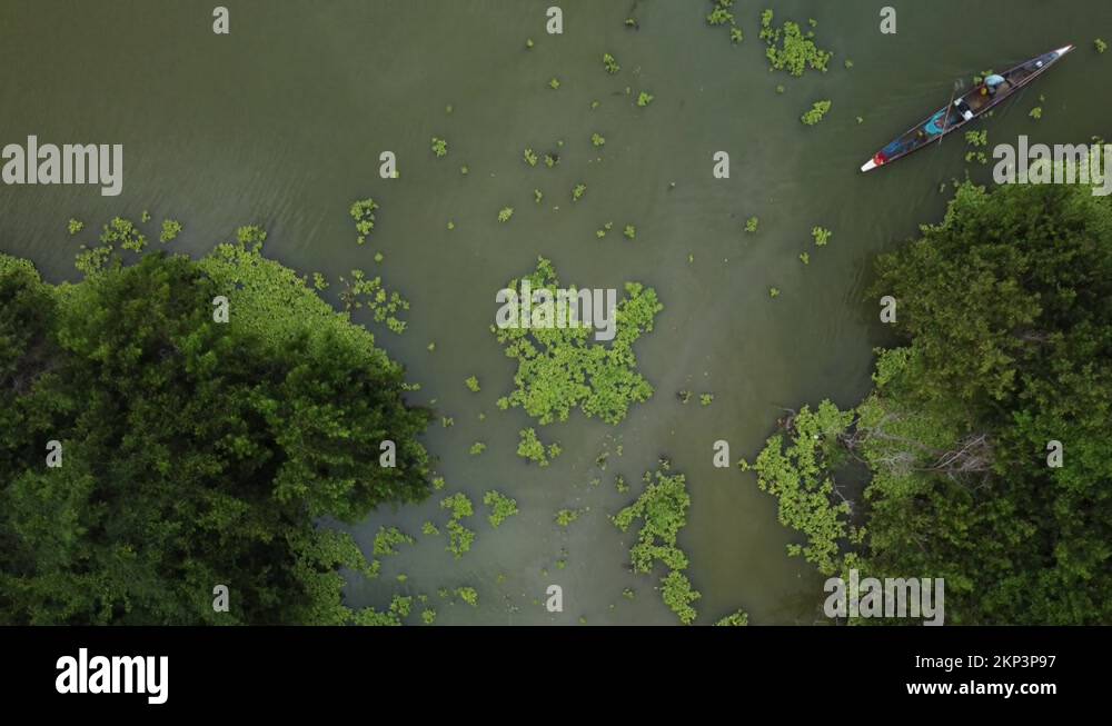 Swamp men Stock Videos & Footage - HD and 4K Video Clips - Alamy