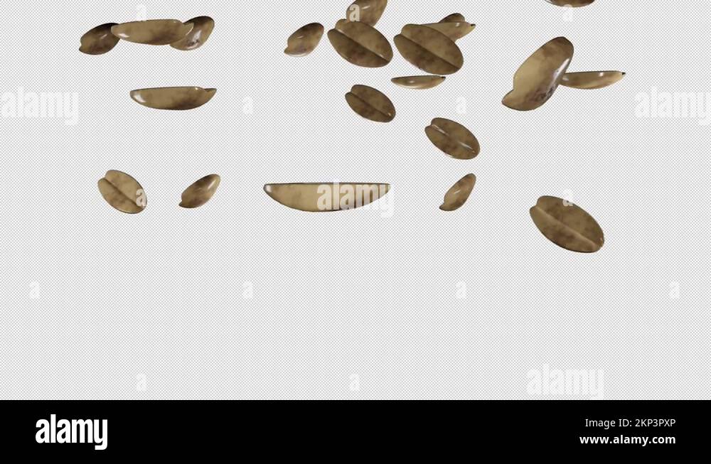 Many peanut falling down on transparent background. Nuts. Alpha channel ...