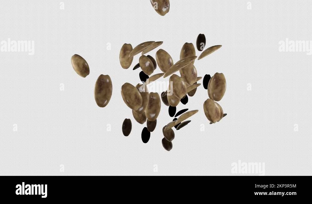Many peanut falling down on transparent background. Nuts. Alpha channel ...