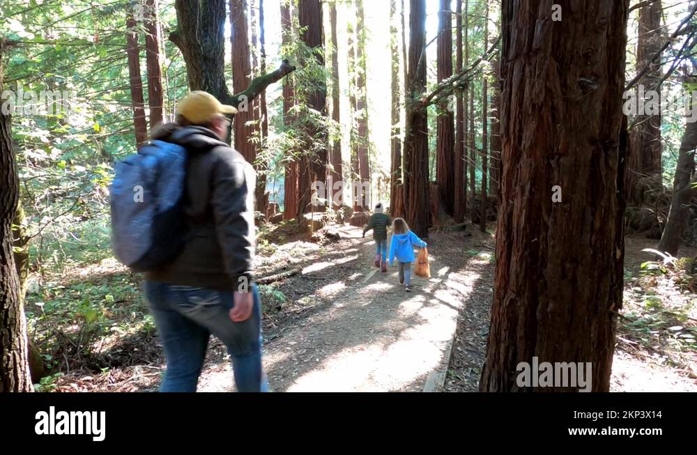 Redwood family Stock Videos & Footage - HD and 4K Video Clips - Alamy