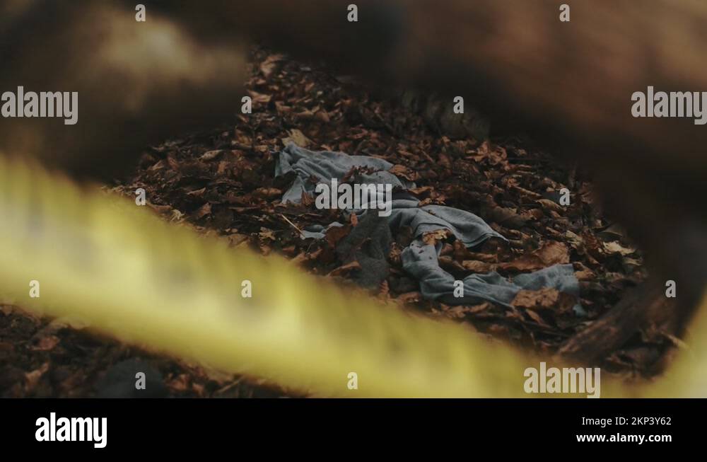 Crime scene in the woods. Taped and cornered off area with Crime Scene ...