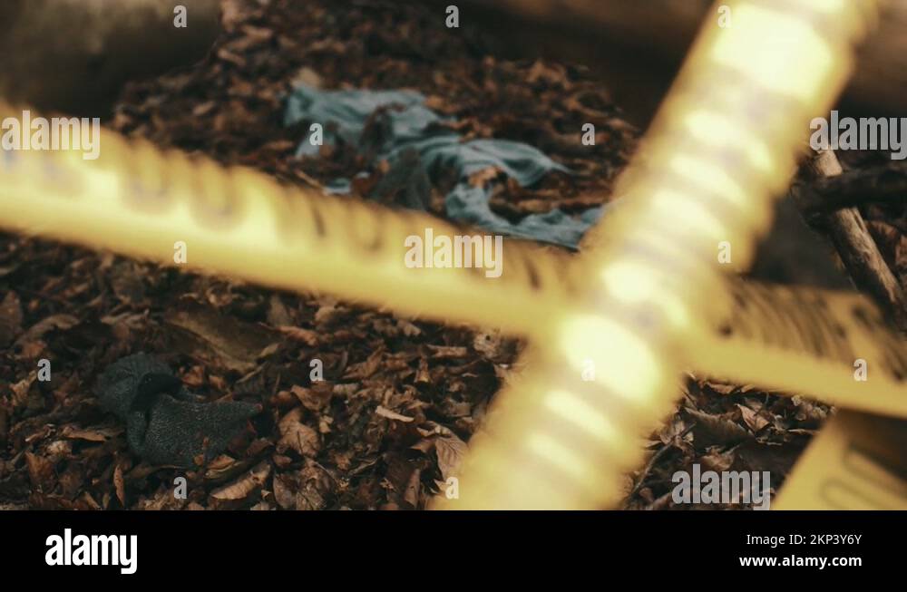 Crime scene in the woods. Taped and cornered off area with Crime Scene ...