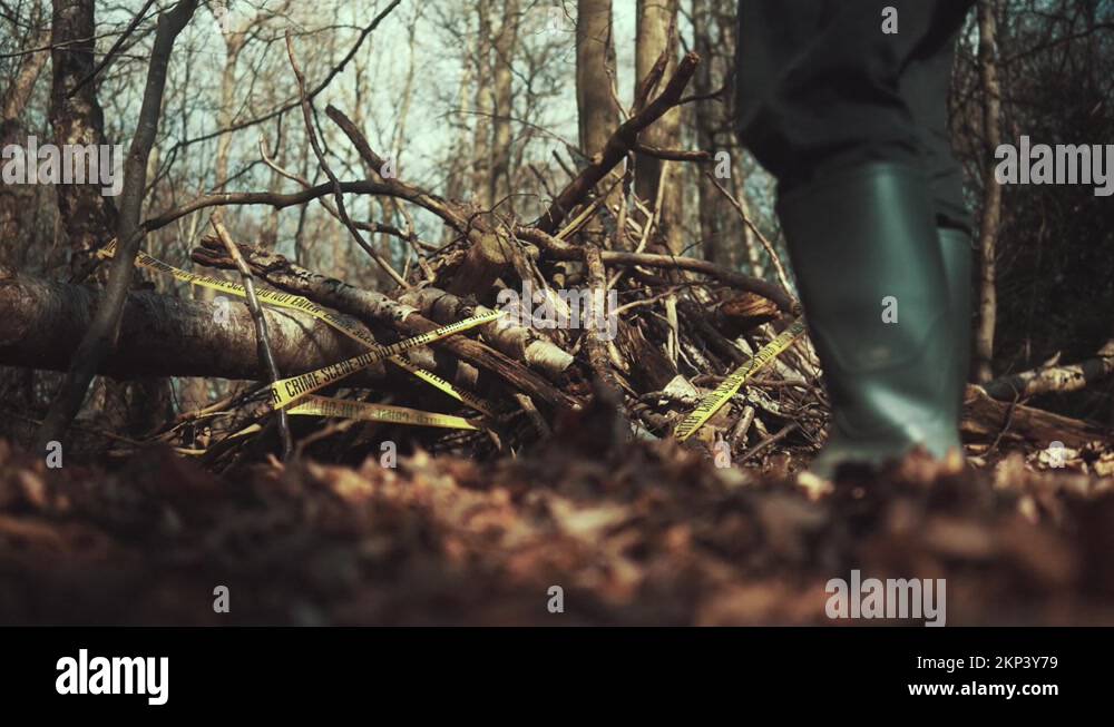 Crime scene in the woods. Taped and cornered off area with Crime Scene ...