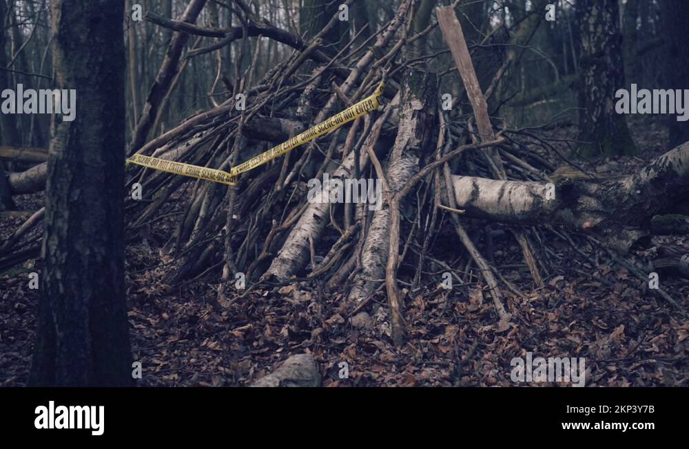 Crime scene in the woods. Taped and cornered off area with Crime Scene ...