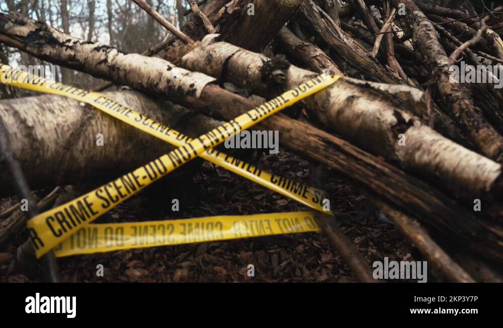 Crime scene in the woods. Taped and cornered off area with Crime Scene ...