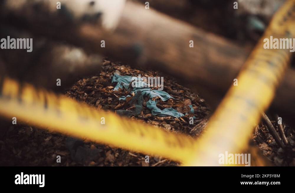 Crime scene in the woods. Taped and cornered off area with Crime Scene ...