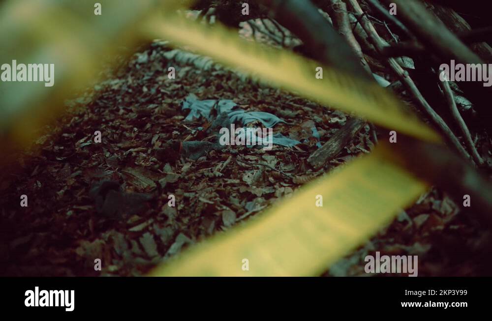 Crime scene in the woods. Taped and cornered off area with Crime Scene ...