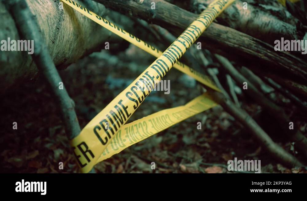 Crime scene in the woods Stock Videos & Footage - HD and 4K Video Clips ...