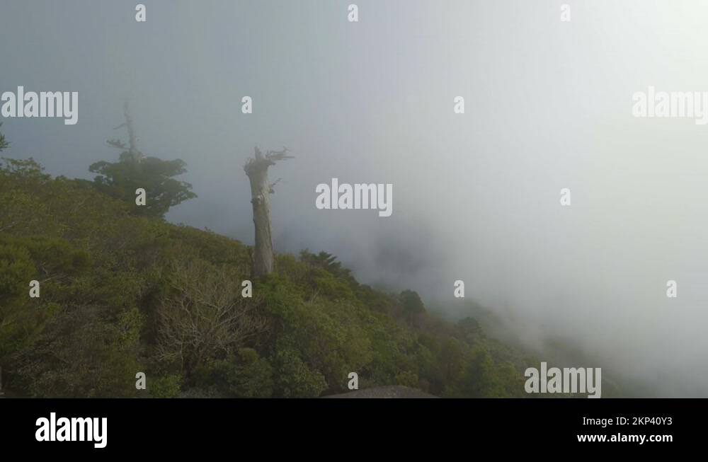 Cinematic gimbal shot of view point over Shiratani Unsuikyo in ...