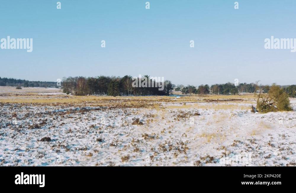 Europe vegetation Stock Videos & Footage - HD and 4K Video Clips - Alamy