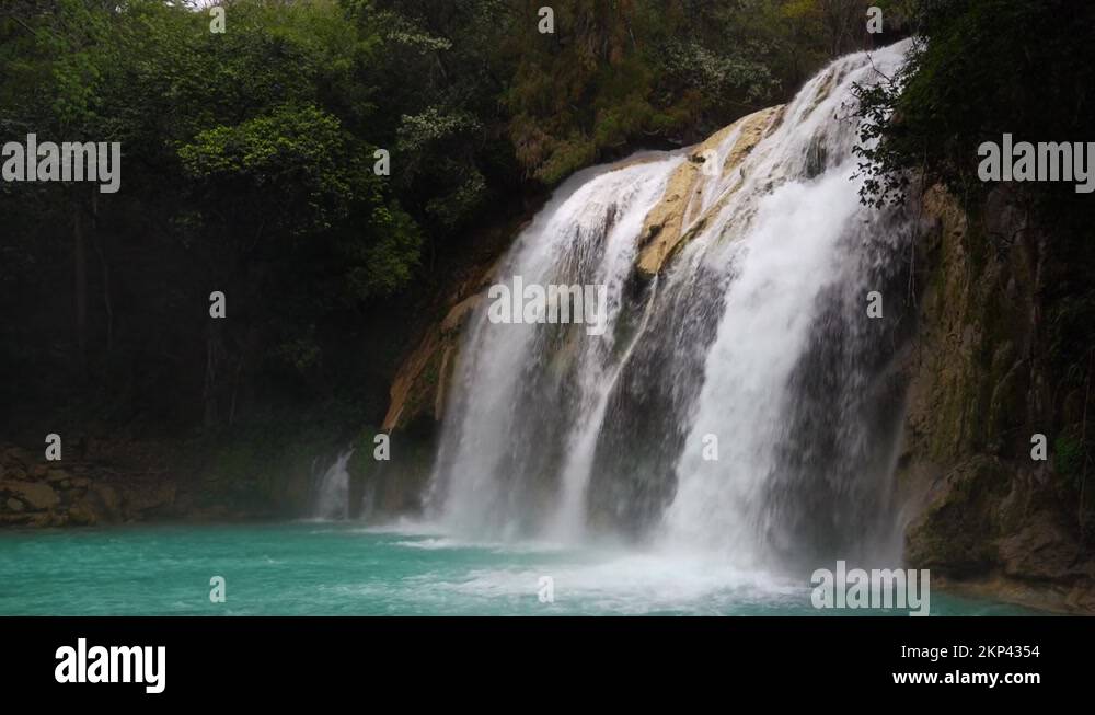 Rapid wing Stock Videos & Footage - HD and 4K Video Clips - Alamy