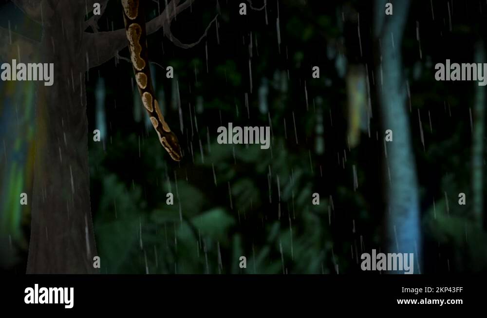 Snake tree jungle Stock Videos & Footage - HD and 4K Video Clips - Alamy