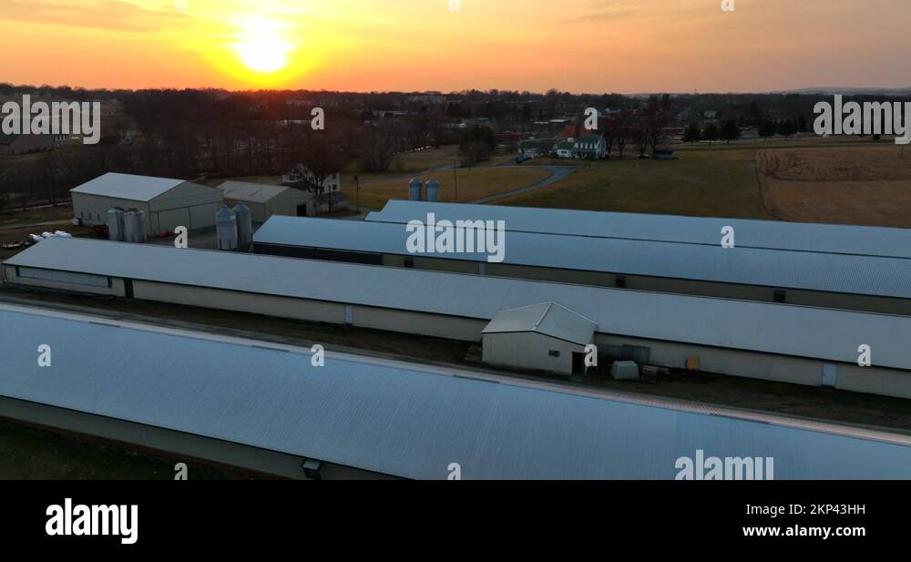 Poultry barns Stock Videos & Footage - HD and 4K Video Clips - Alamy