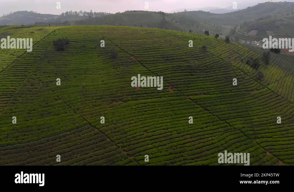 Terrace farming in india Stock Videos & Footage - HD and 4K Video Clips ...