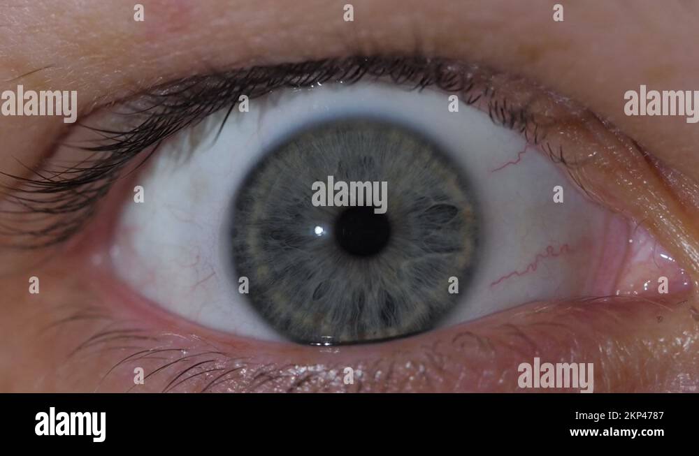 Human eye close up wide pupil Stock Videos & Footage - HD and 4K Video ...