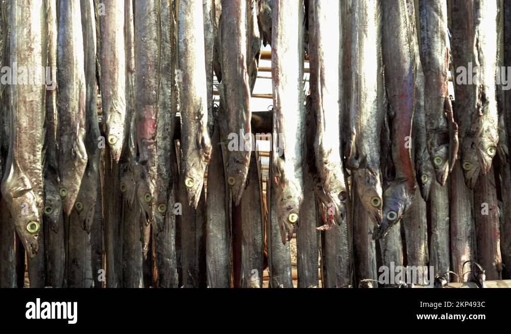 Outdoor fish drying rack Stock Videos & Footage - HD and 4K Video Clips ...