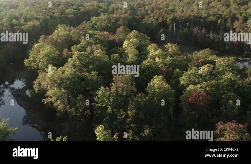 Floodplain habitat Stock Videos & Footage - HD and 4K Video Clips - Alamy