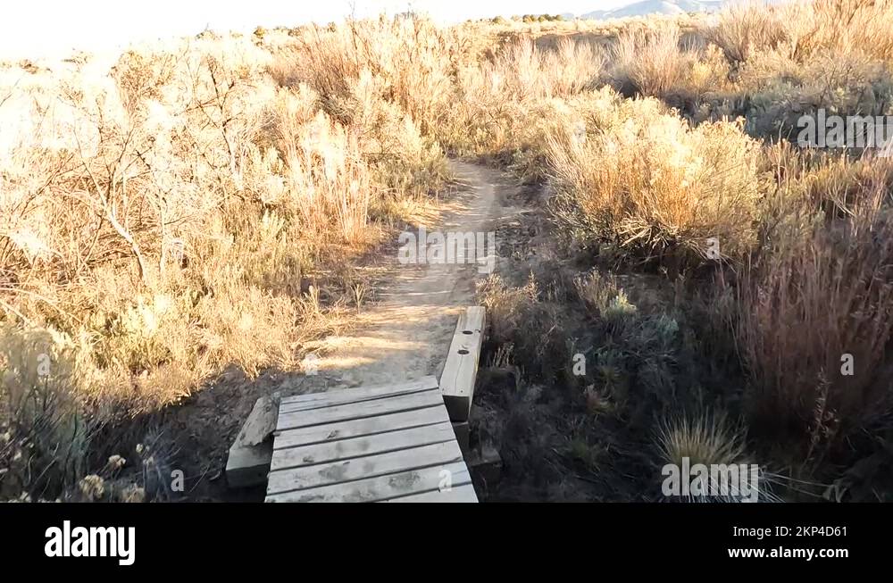 Deep ditch Stock Videos & Footage - HD and 4K Video Clips - Alamy