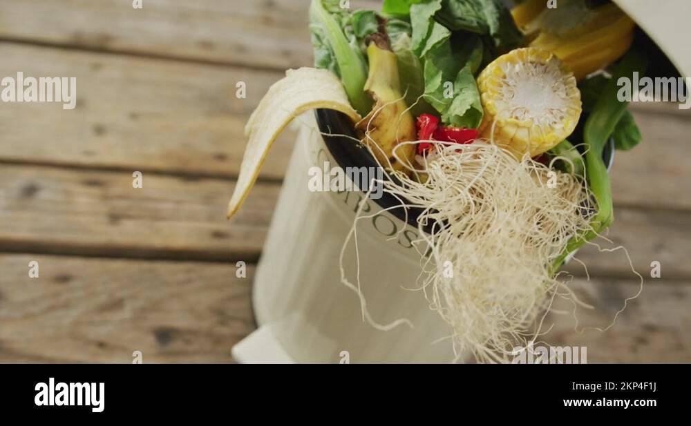 Wooden recycle bin Stock Videos & Footage - HD and 4K Video Clips - Alamy