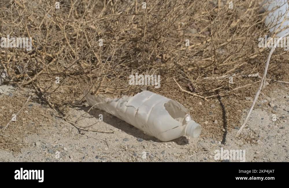 Close-up of plastic bottle in the desert under a bush. Plastic ...