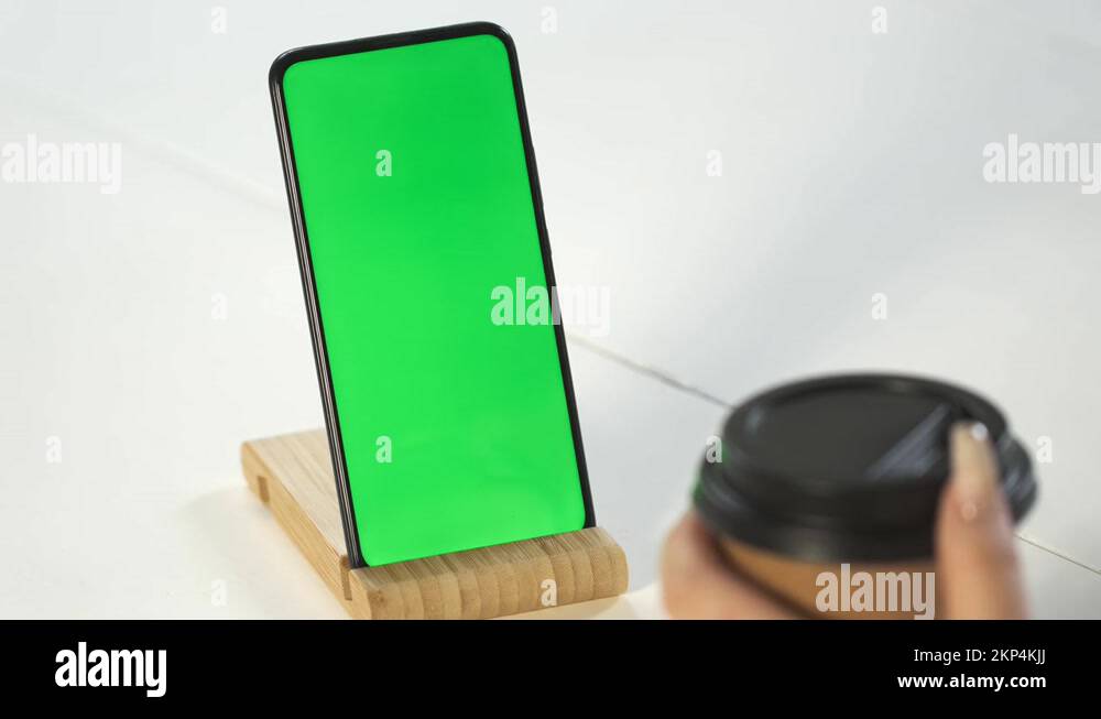 Handheld Camera: Back View of Brunette woman Holding Chroma Key Green ...