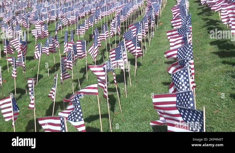 Flags to wave Stock Videos & Footage - HD and 4K Video Clips - Alamy