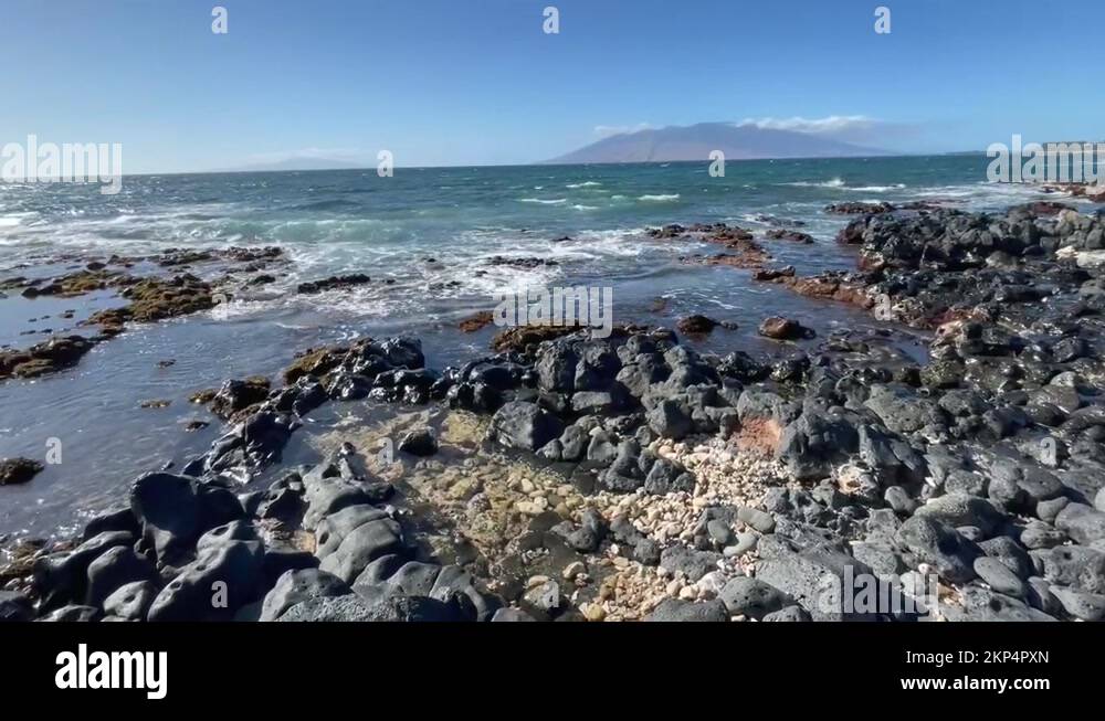 Polynesian scenery Stock Videos & Footage - HD and 4K Video Clips - Alamy