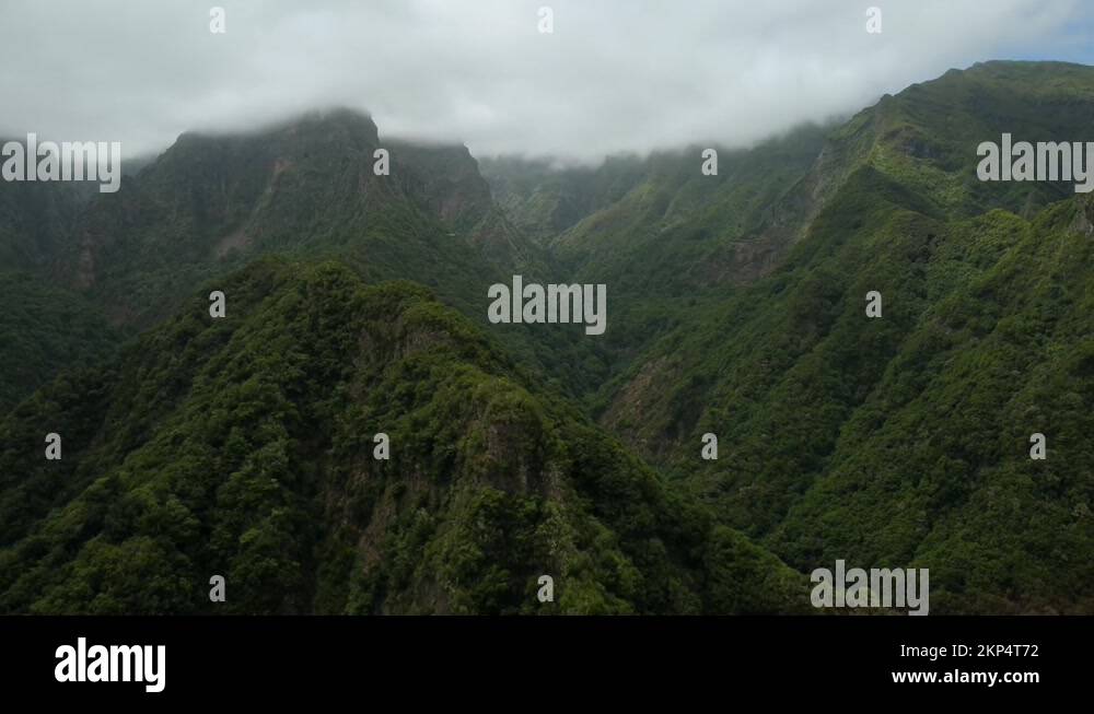 Deep inside Madeira Island's lush green forest areas on a cloudy summer ...