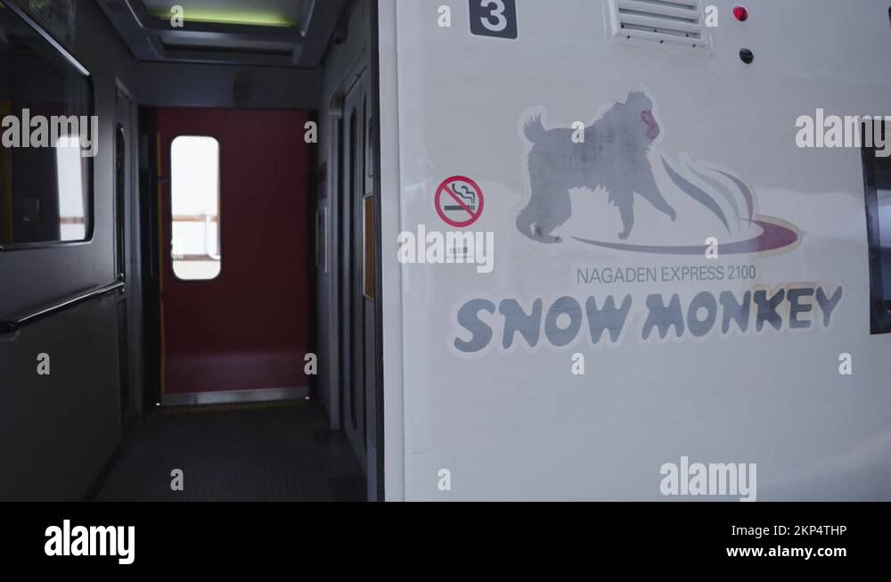 Train snow express Stock Videos & Footage - HD and 4K Video Clips - Alamy