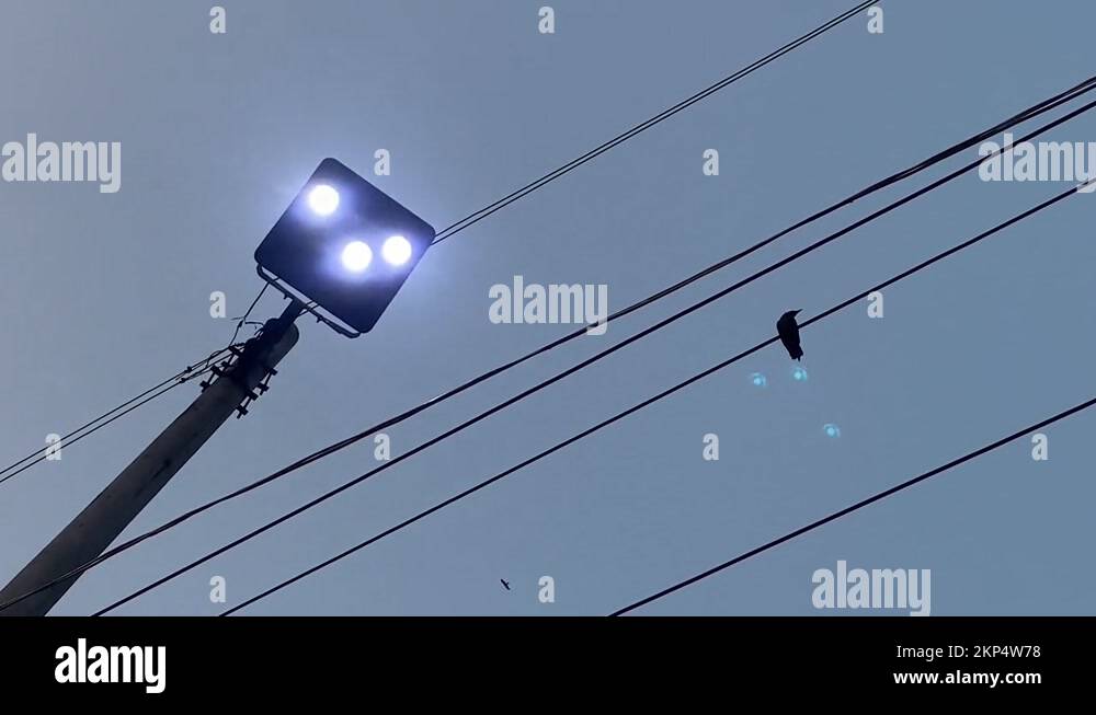 Electric light pole Stock Videos & Footage - HD and 4K Video Clips - Alamy